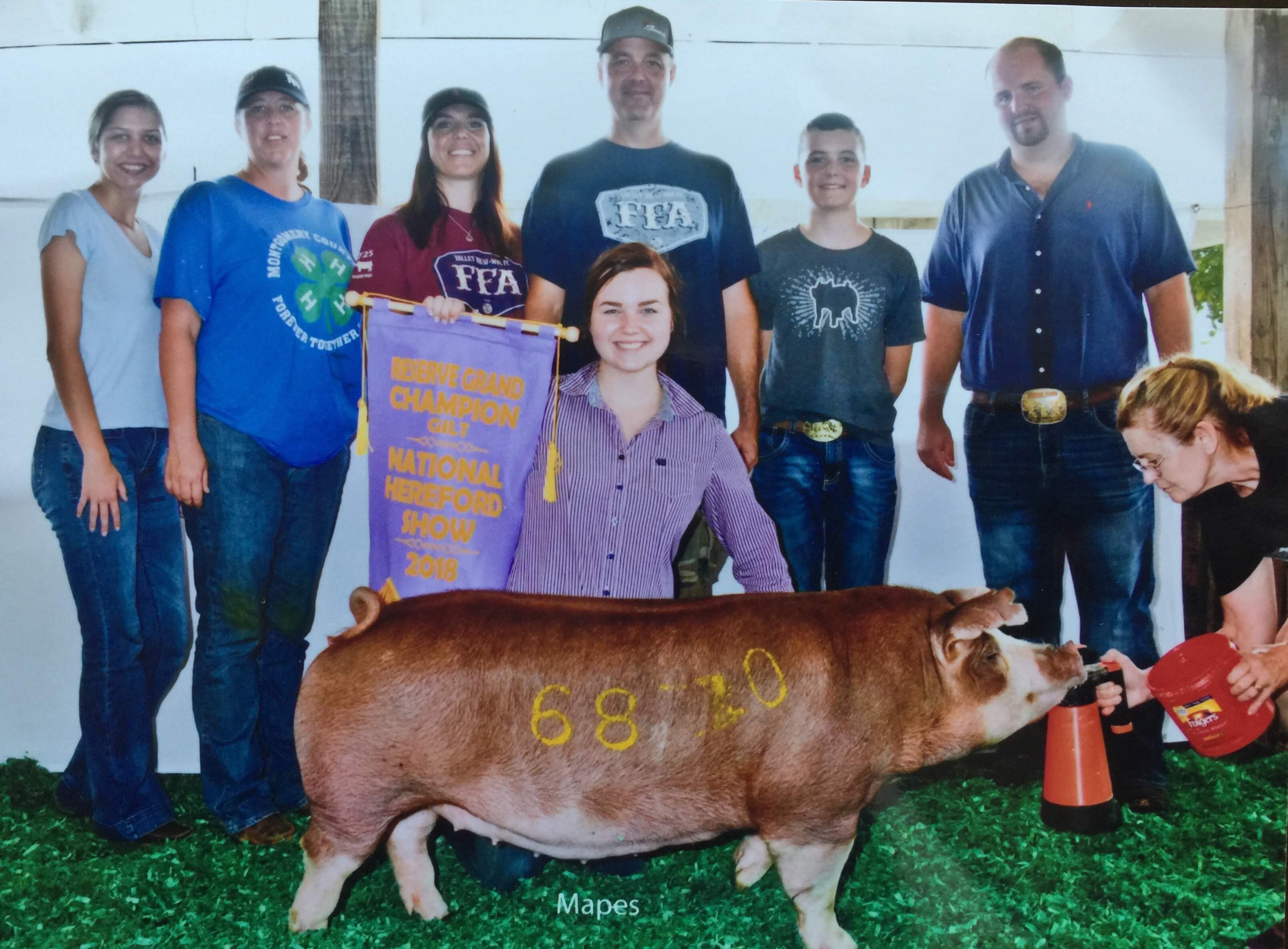 ClintHigh Showpigs :: Clinton County, Ohio